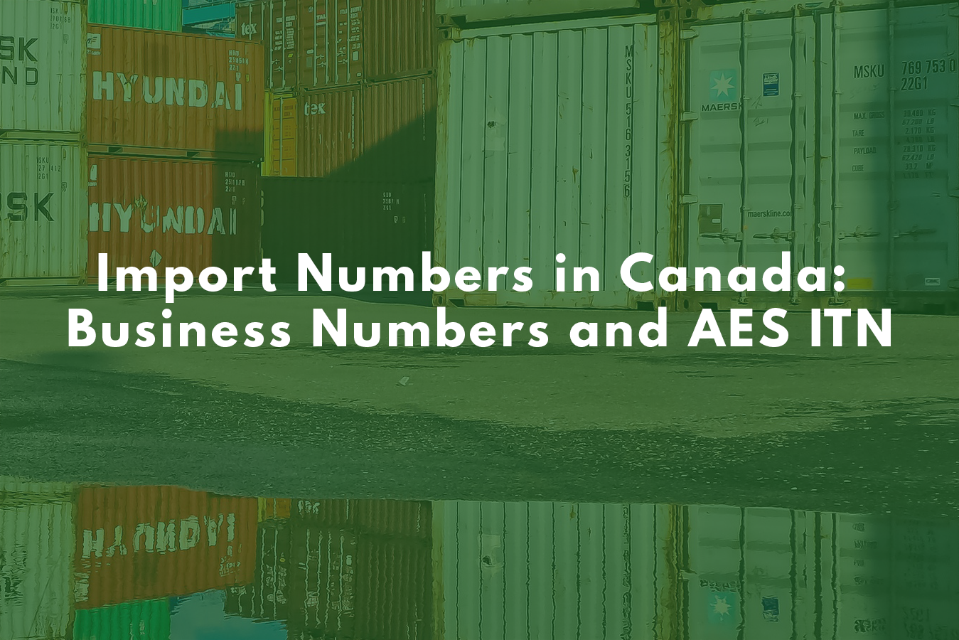 Import Numbers in Canada: Business Numbers and AES ITN